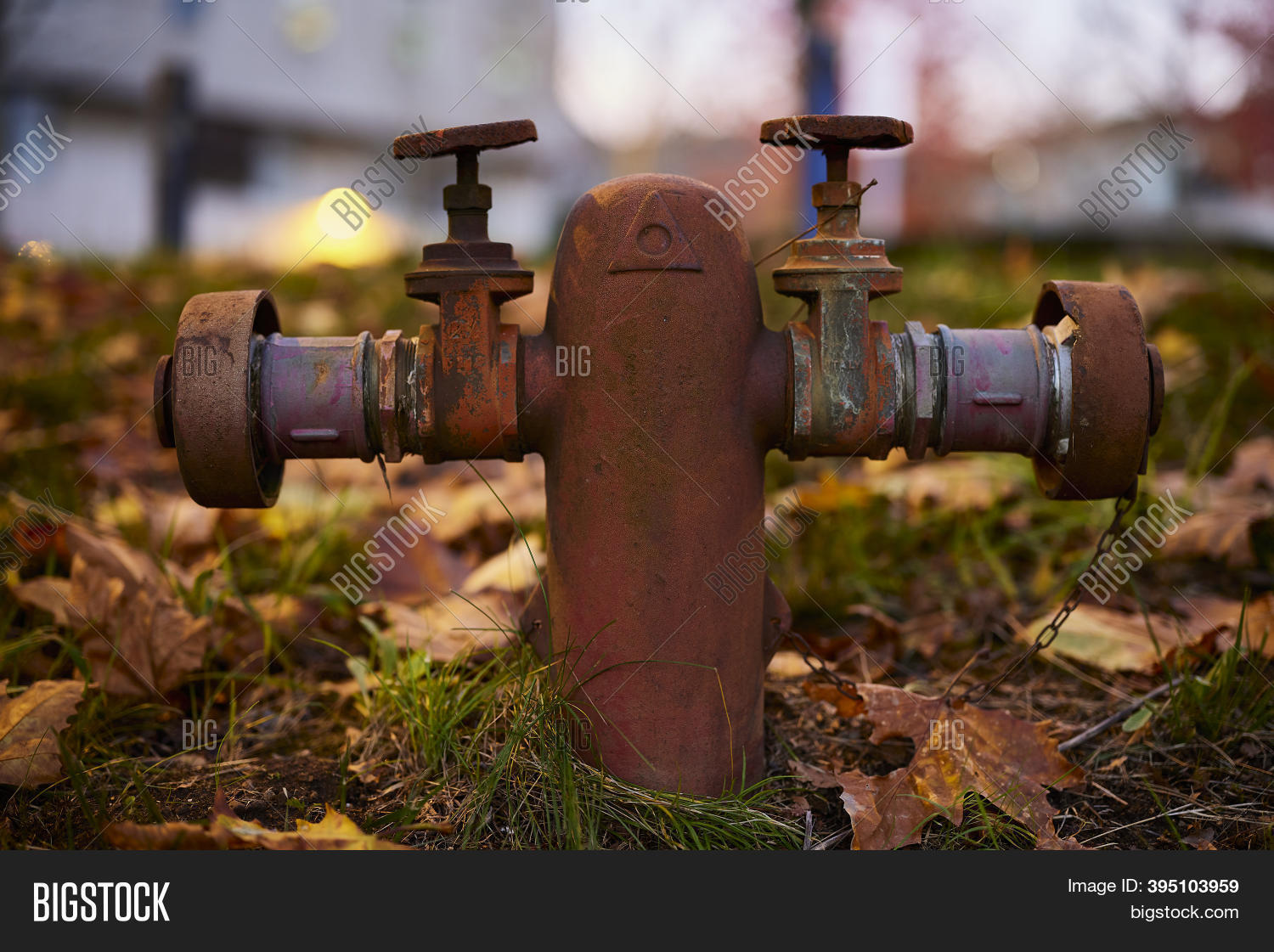 Fire Hydrants. They Image & Photo (Free Trial) | Bigstock