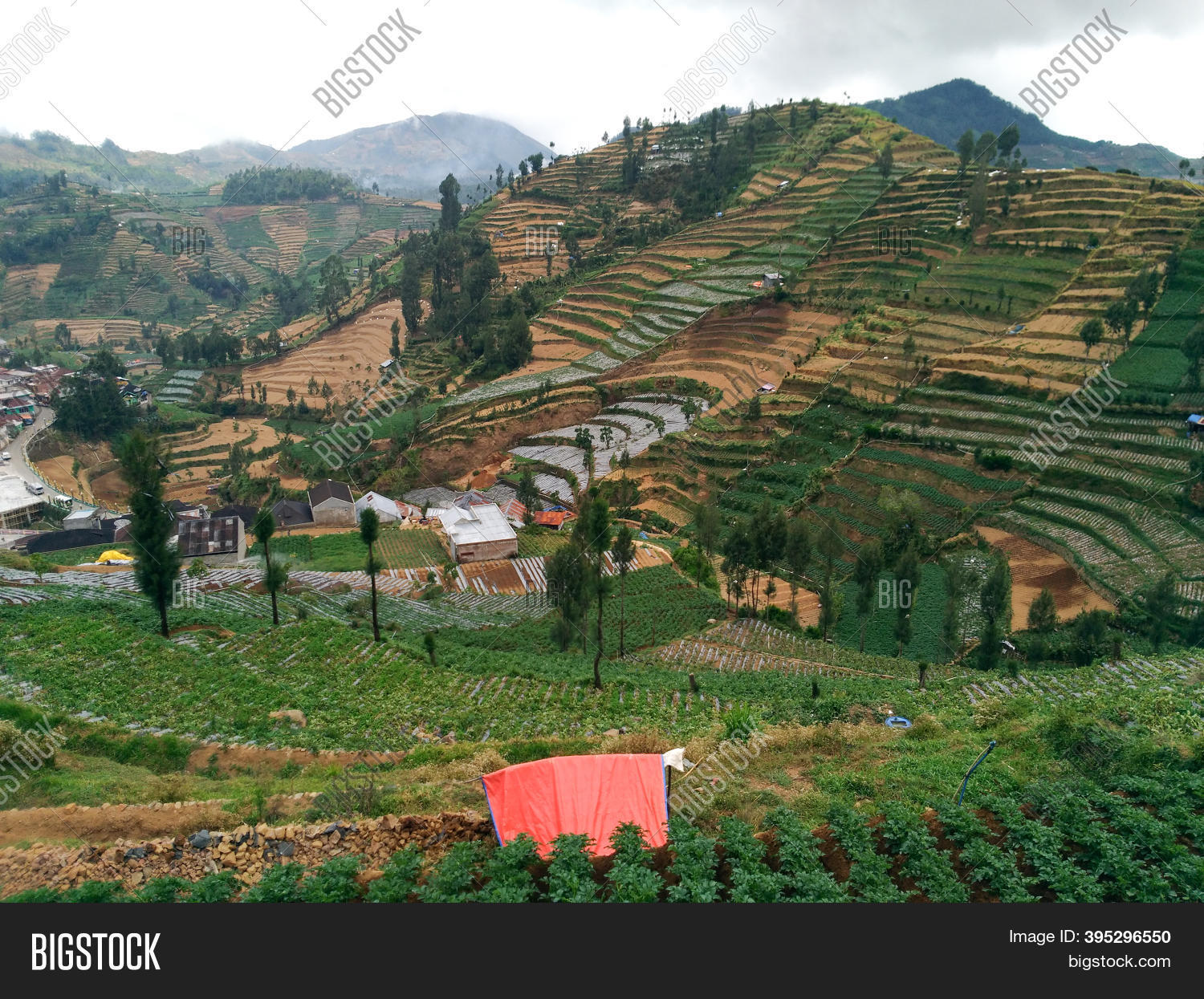 Wonosobo, Indonesia - Image & Photo (Free Trial) | Bigstock