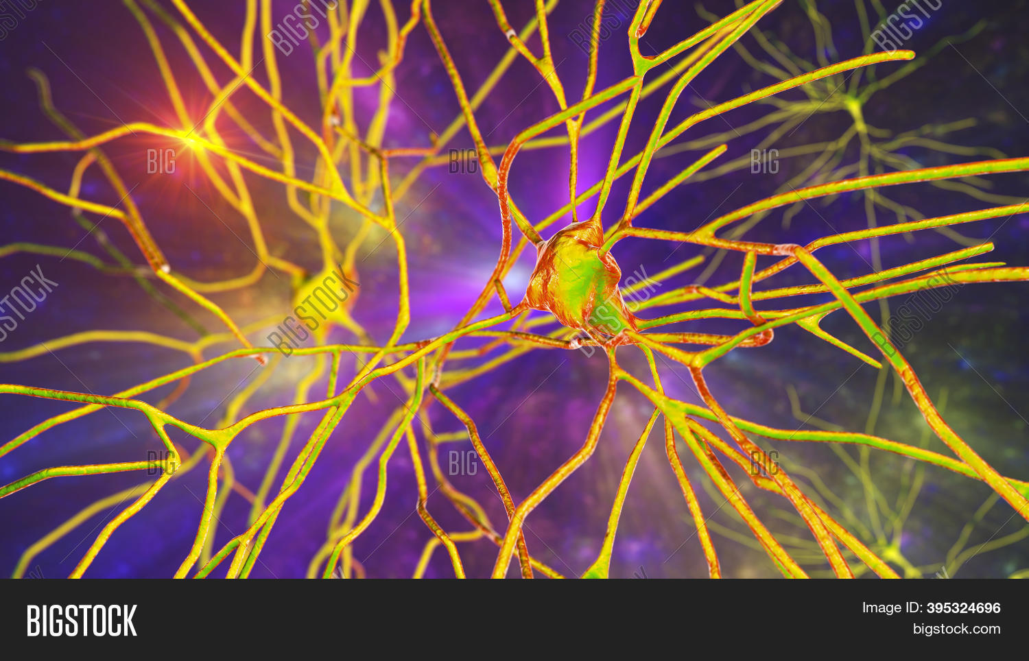 Neurons, 3d Image & Photo (Free Trial) | Bigstock