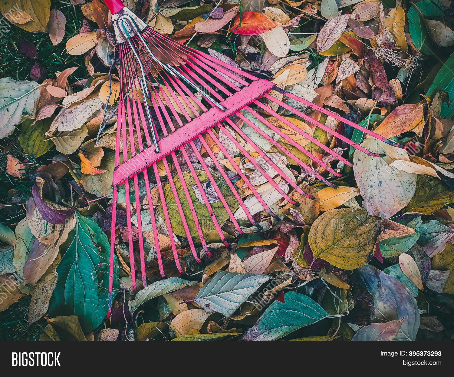 Close Metal Fan Rake Image & Photo (Free Trial) | Bigstock