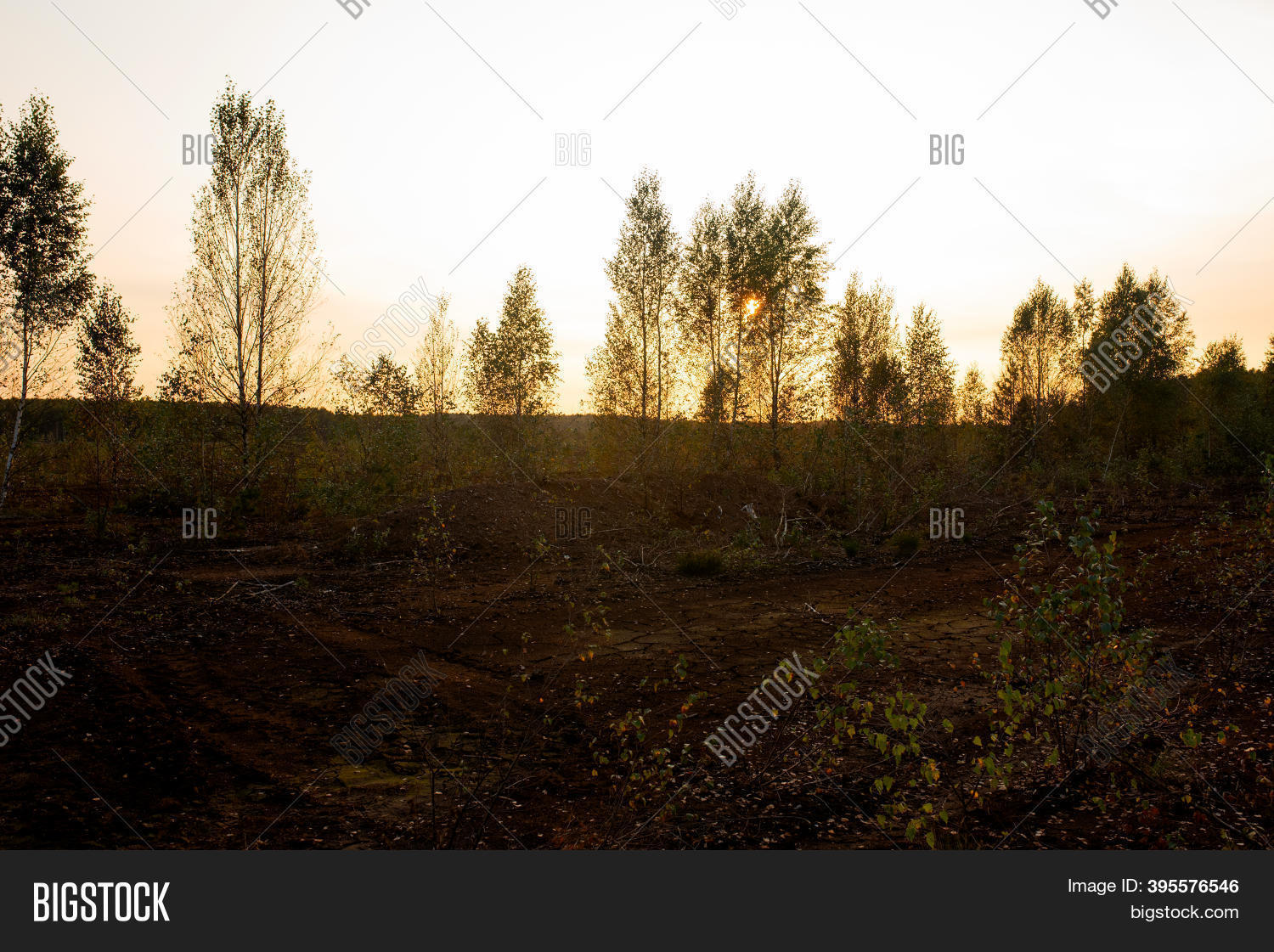 Landscape On Peatlands Image & Photo (Free Trial) | Bigstock