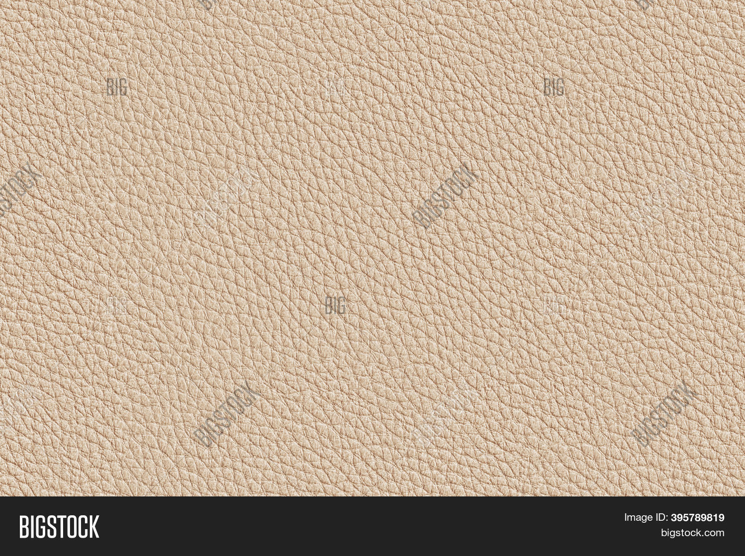 Closeup Beige Leather Image & Photo (Free Trial) | Bigstock