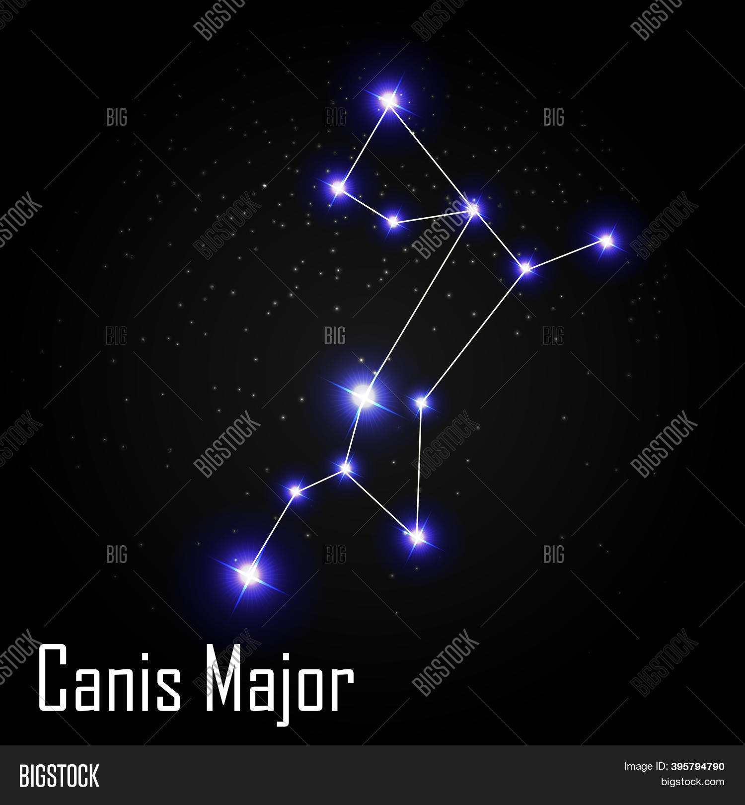 Canis Major Image & Photo (Free Trial) | Bigstock