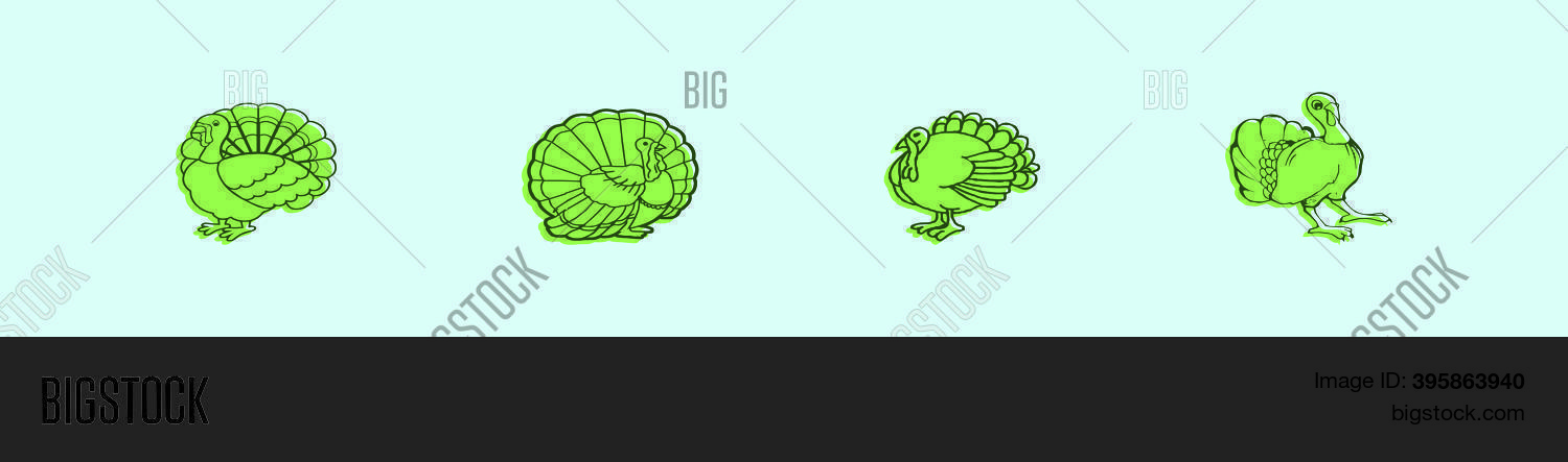 Set Wild Turkey. Vector & Photo (Free Trial) | Bigstock