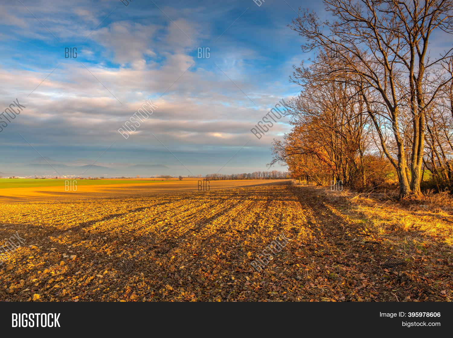 Autumn Morning Image & Photo (Free Trial) | Bigstock