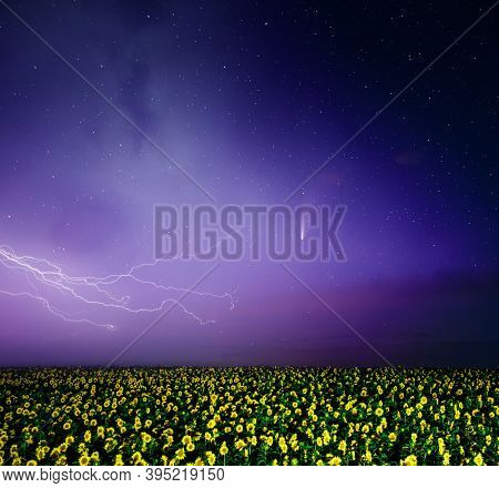 Strong Storm Bright Image & Photo (Free Trial) | Bigstock