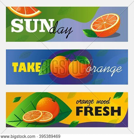 Citrus Banners Set. Vector & Photo (Free Trial) | Bigstock
