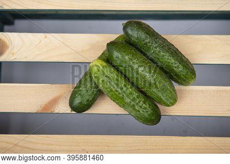 Cucumber Stands On Image & Photo (Free Trial) | Bigstock