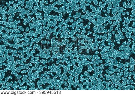Cute Biological Chaos Image & Photo (Free Trial) | Bigstock