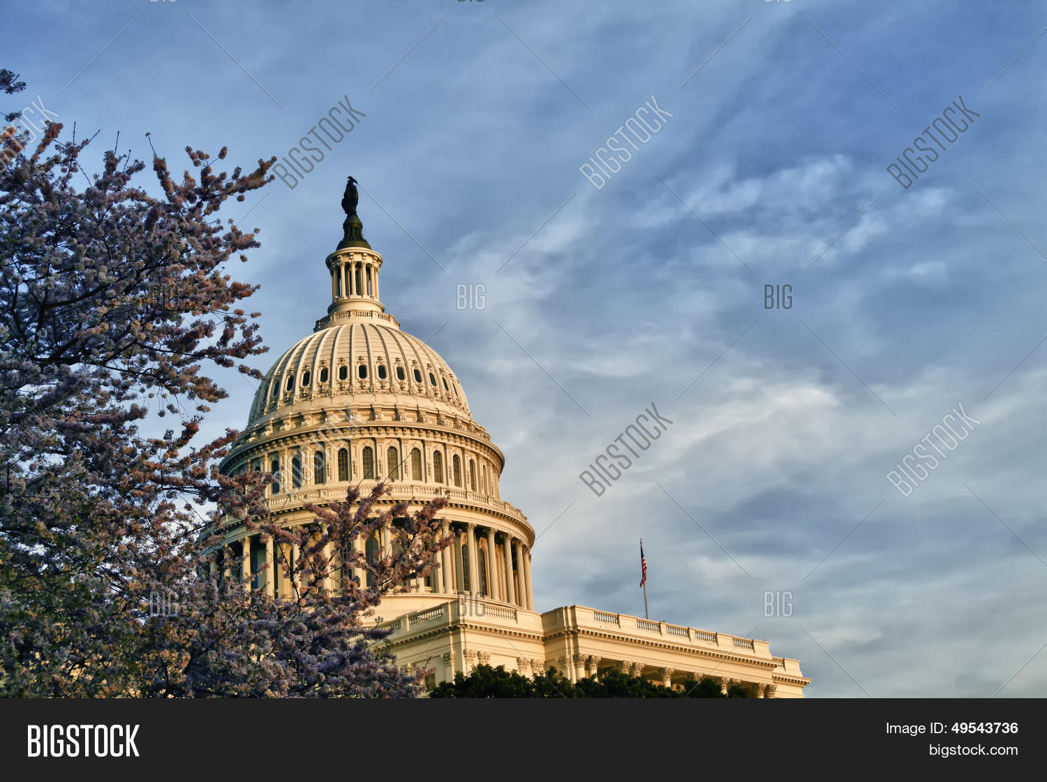Us Capitol Dome Image & Photo (Free Trial) | Bigstock