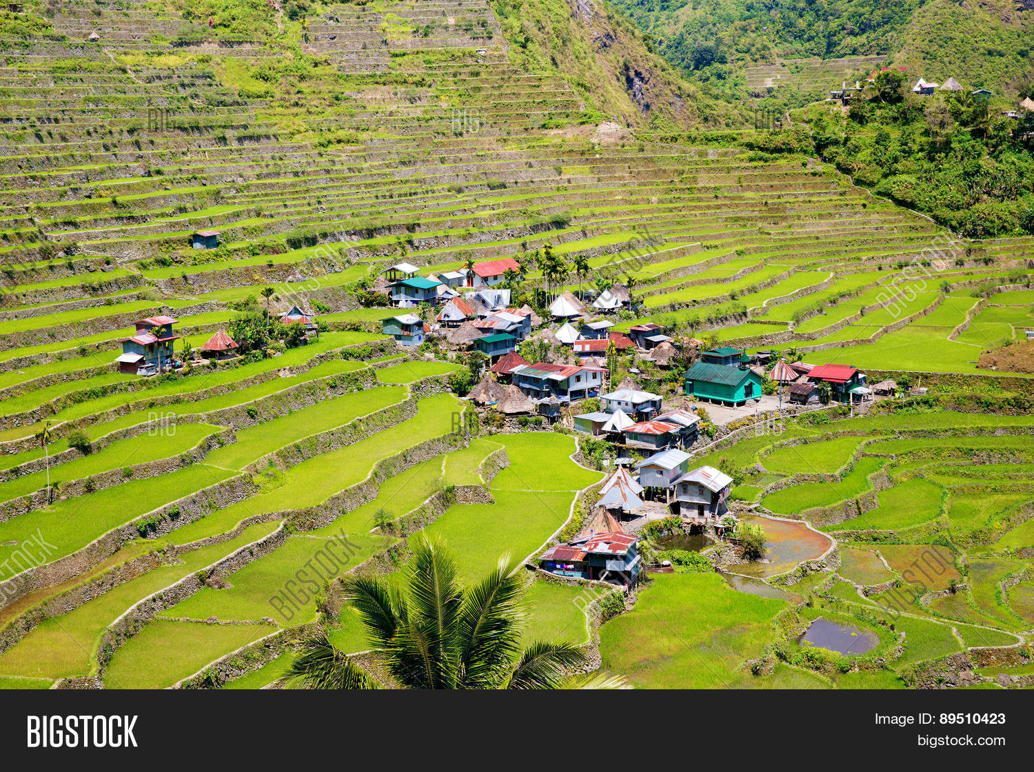 Rice Terraces Image & Photo (Free Trial) | Bigstock