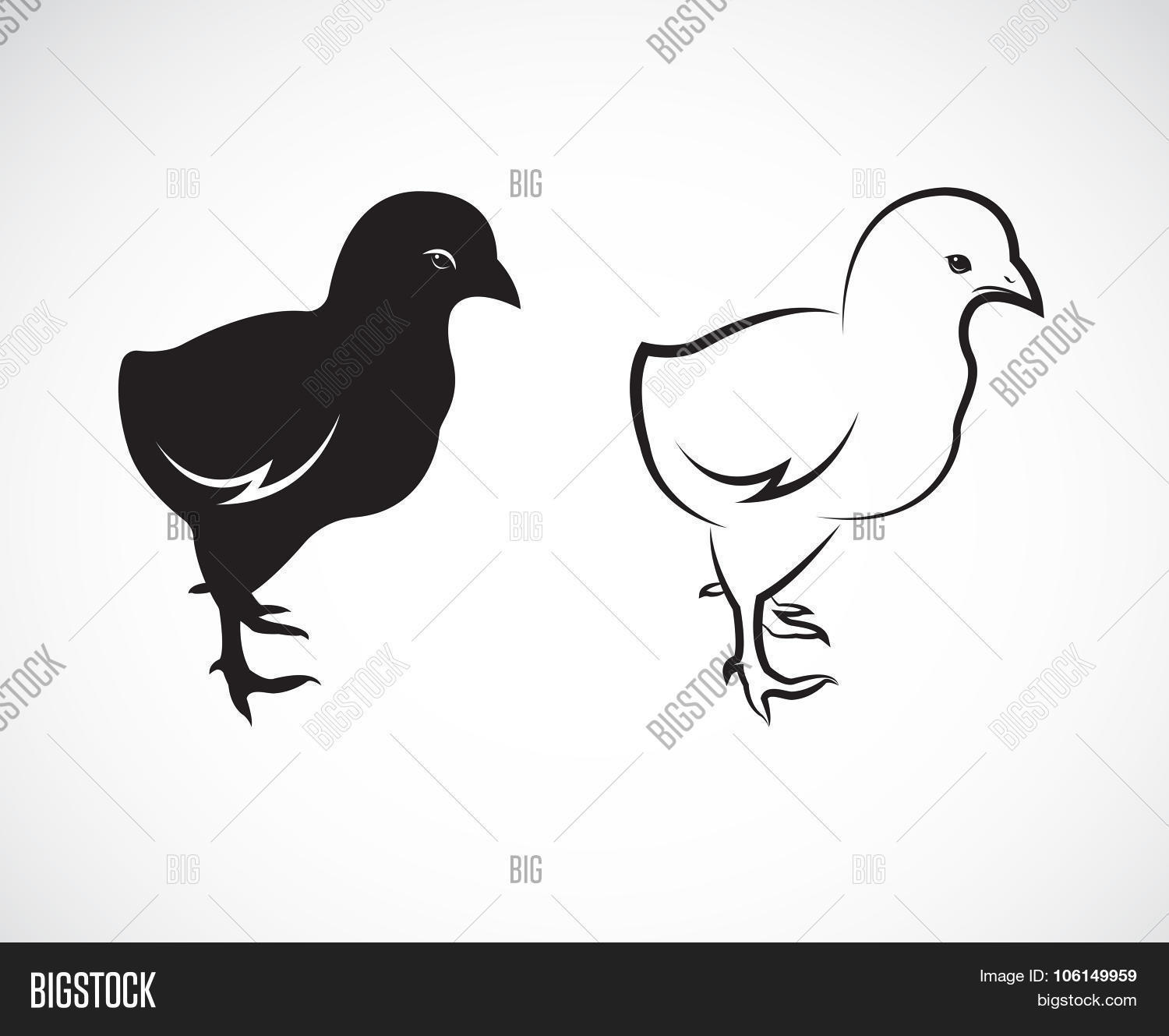 Vector Image Chicken Vector & Photo (Free Trial) | Bigstock