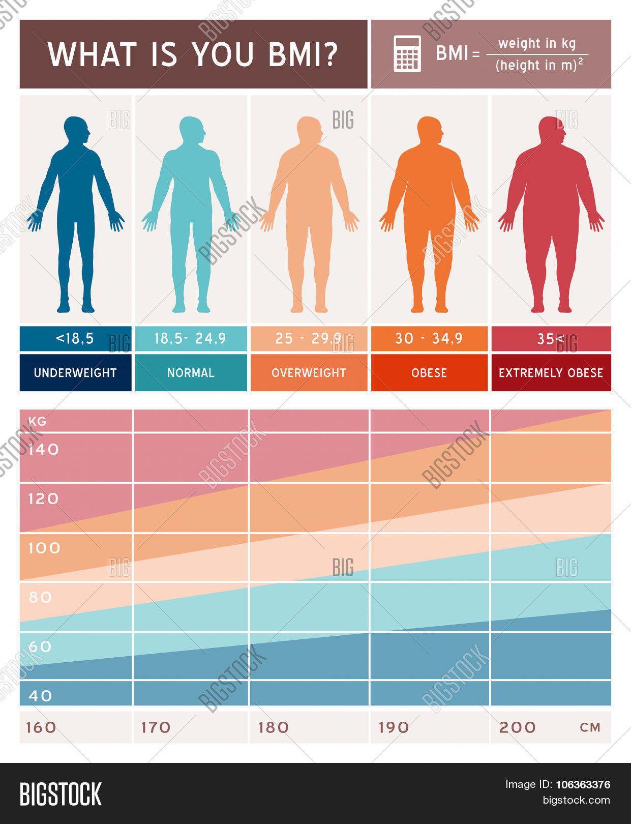 Body Mass Index Vector & Photo (Free Trial) | Bigstock