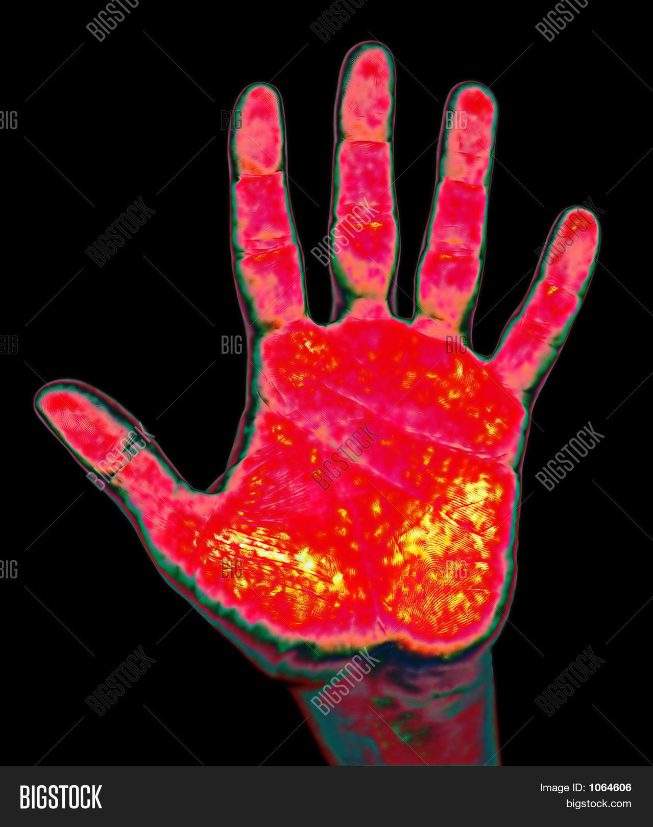 Thermal Hand Image & Photo (Free Trial) | Bigstock