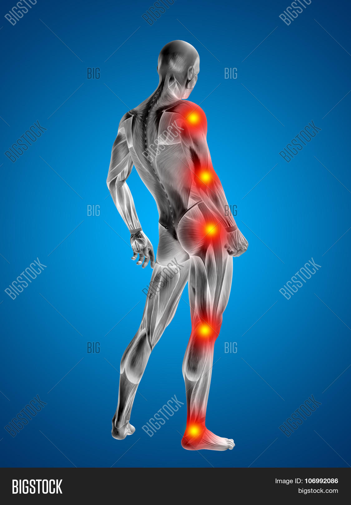 3D Human Man Muscles Image & Photo (Free Trial) | Bigstock