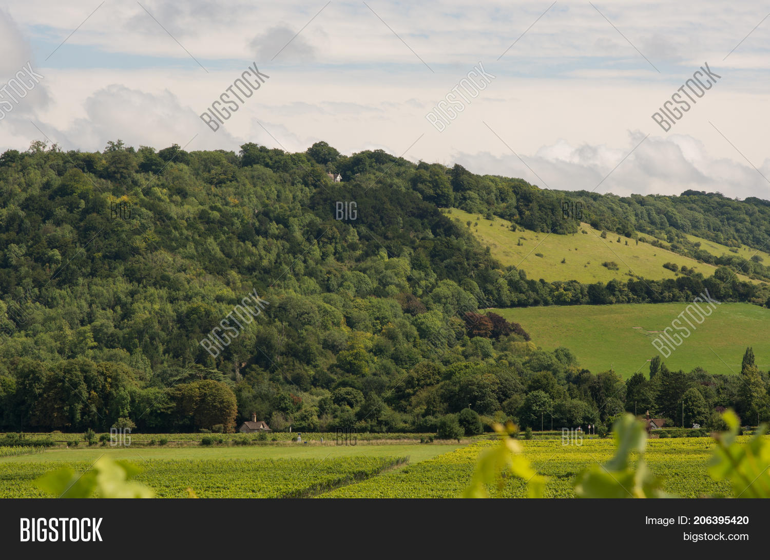 View Box Hill Valley Image & Photo (Free Trial) | Bigstock