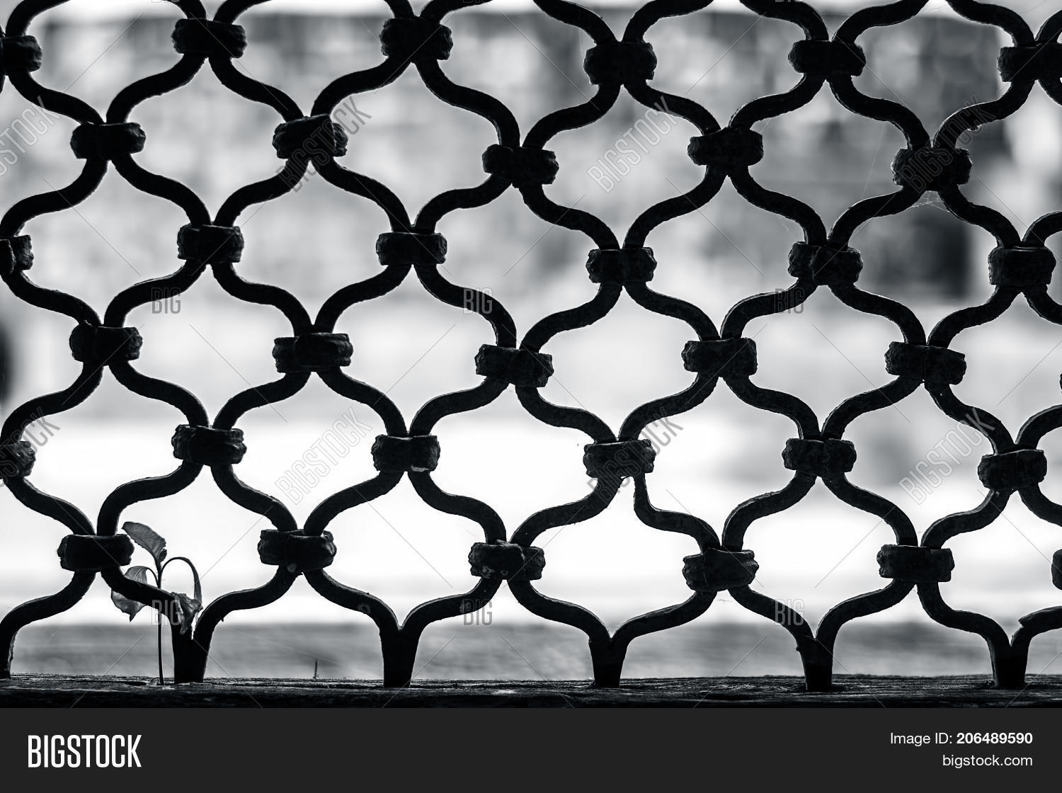 Close Old Rusted JALIS Image & Photo (Free Trial) | Bigstock