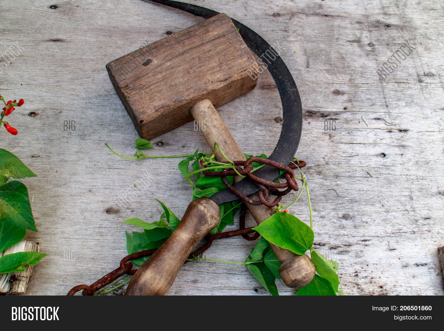Wooden Hammer Sickle Image & Photo (Free Trial) | Bigstock