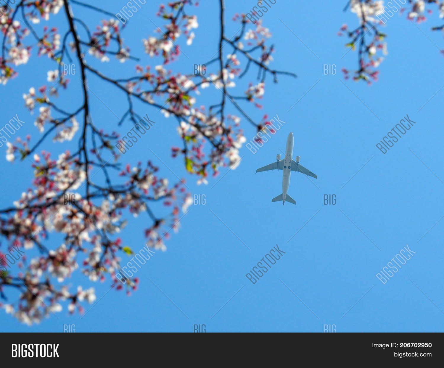 Plane Flying Through Image & Photo (Free Trial) | Bigstock