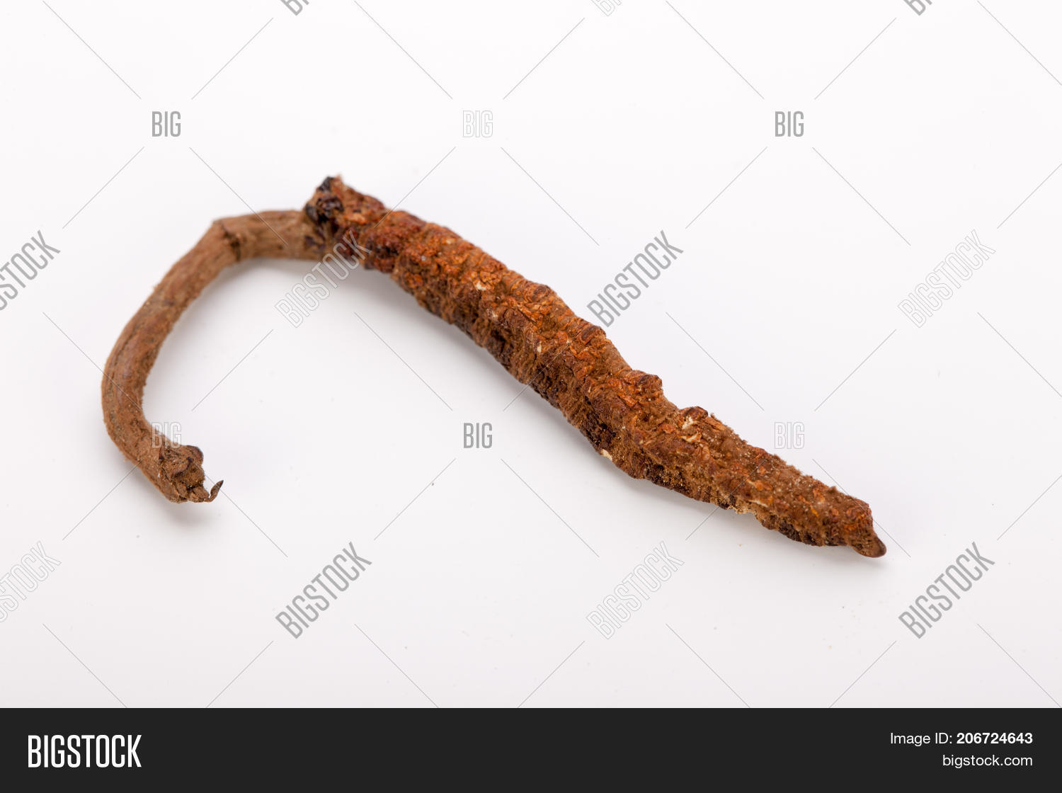 Yarsagumba Ingredient Image & Photo (Free Trial) | Bigstock