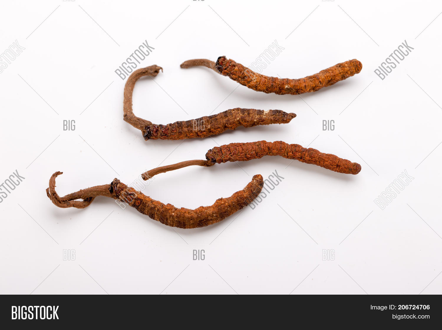 Yarsagumba Ingredient Image & Photo (Free Trial) | Bigstock
