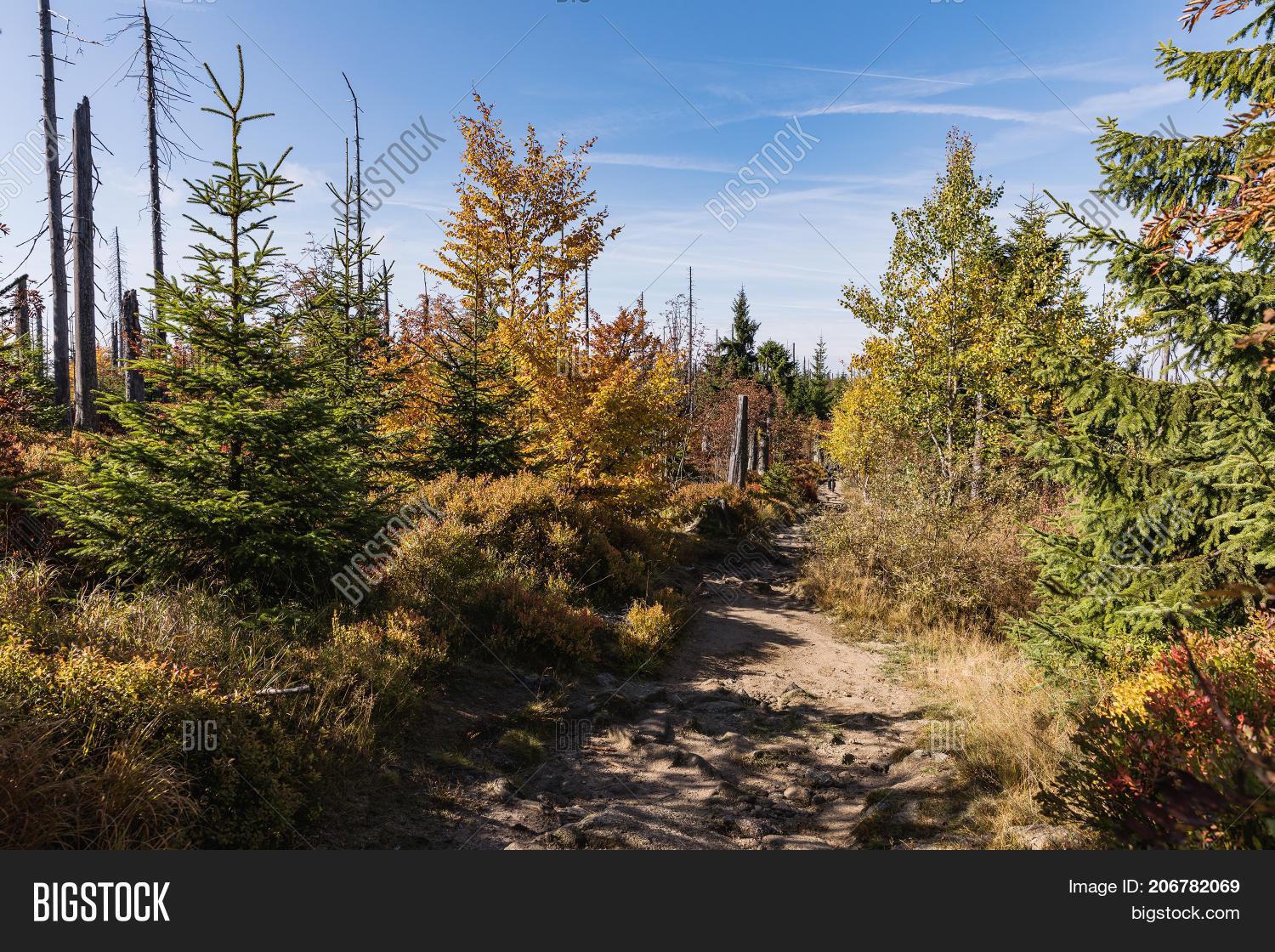 Path Summit Luzny Image & Photo (Free Trial) | Bigstock