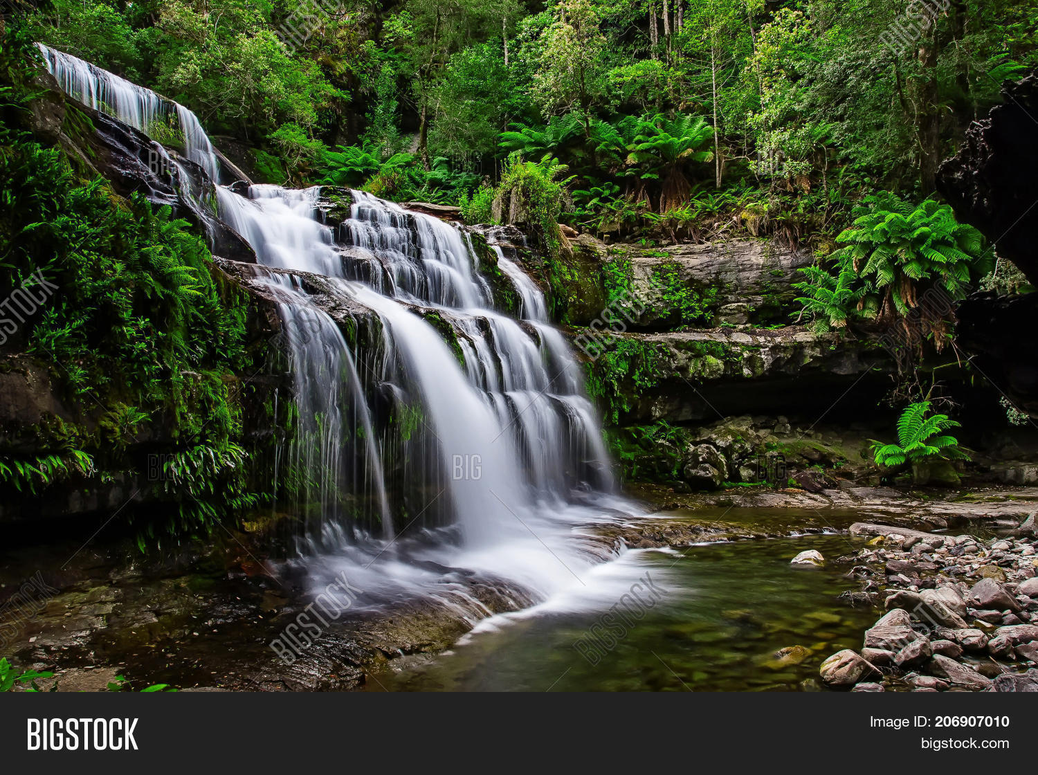 Liffey Falls State Image & Photo (Free Trial) | Bigstock