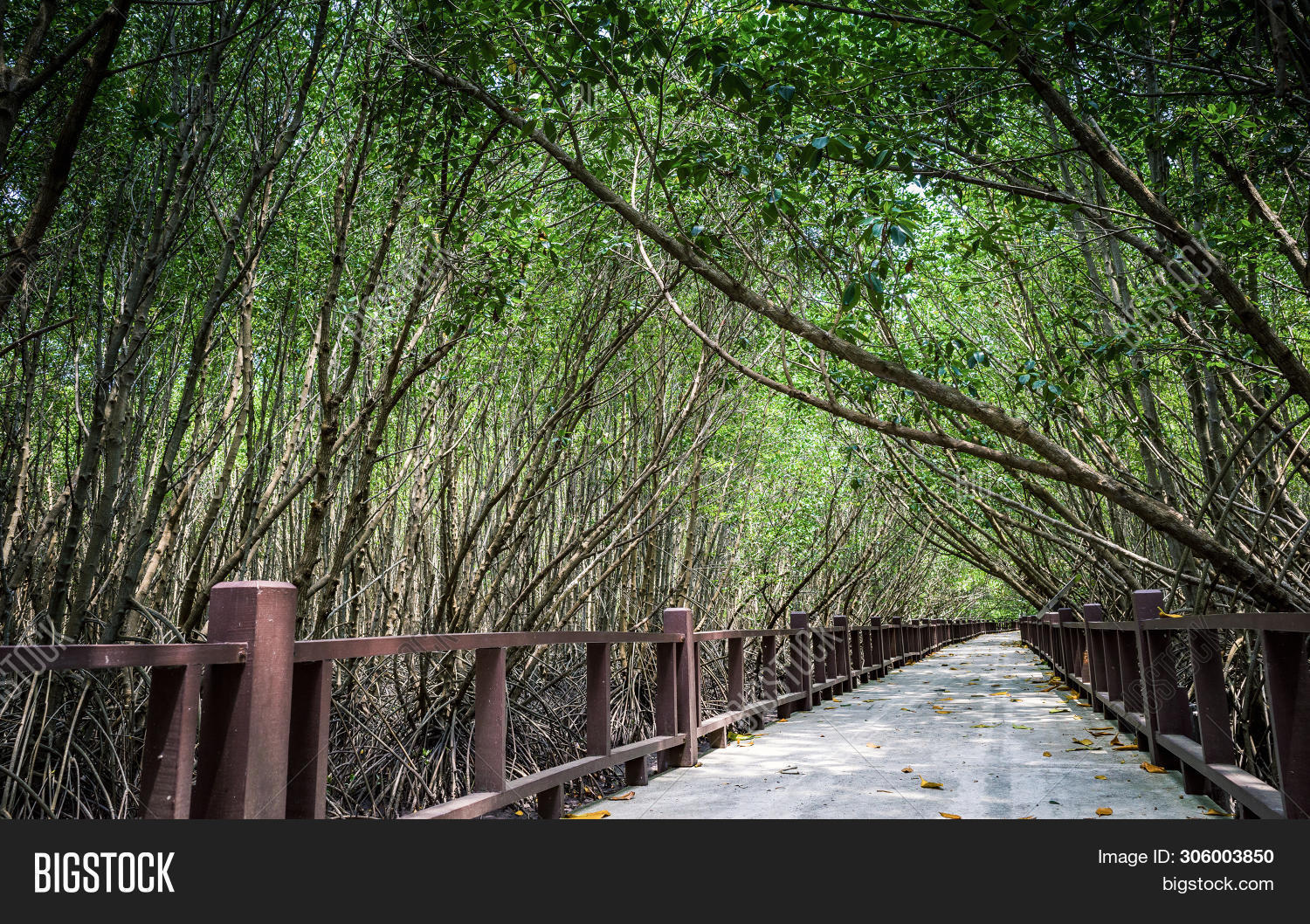 Long Distance Walk Way Image & Photo (Free Trial) | Bigstock