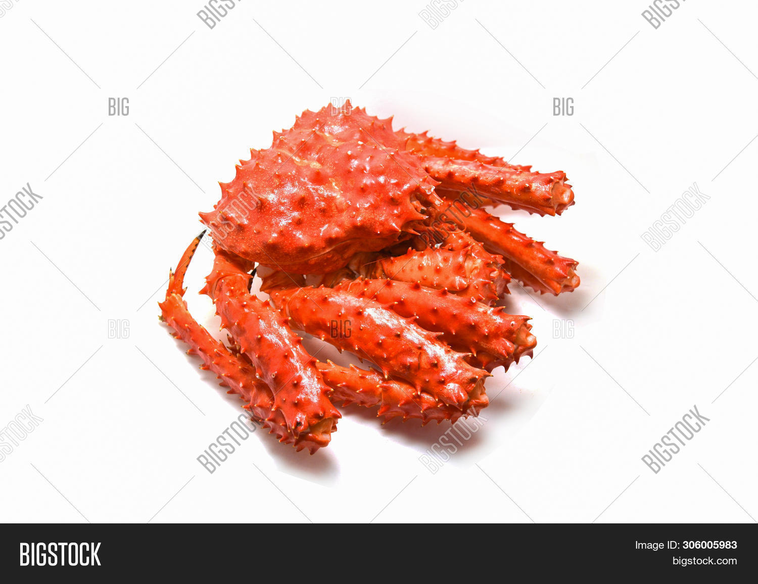 Red Crab Isolated / Image & Photo (Free Trial) | Bigstock