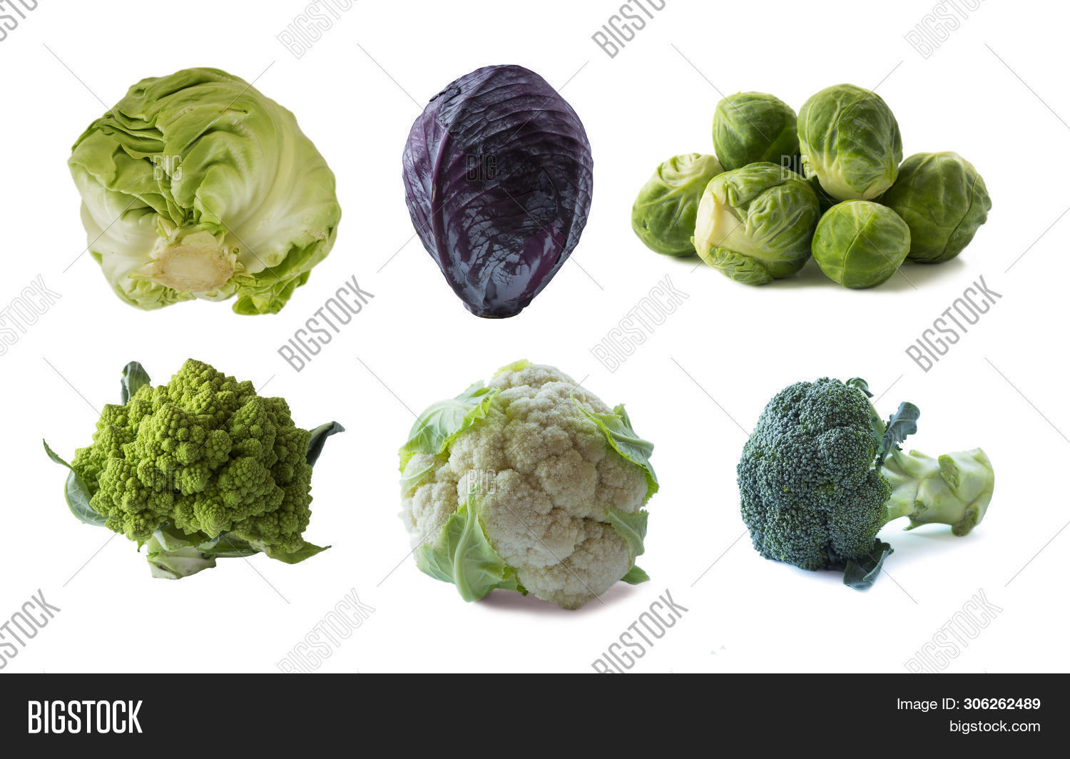 Various Cabbages Image & Photo (Free Trial) | Bigstock