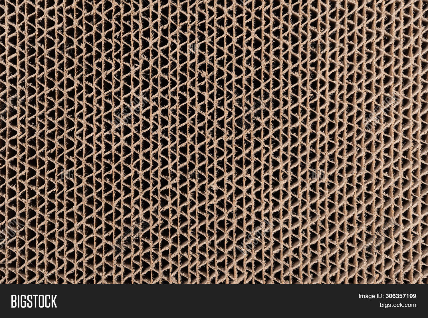 Cross Section Image & Photo (Free Trial) | Bigstock