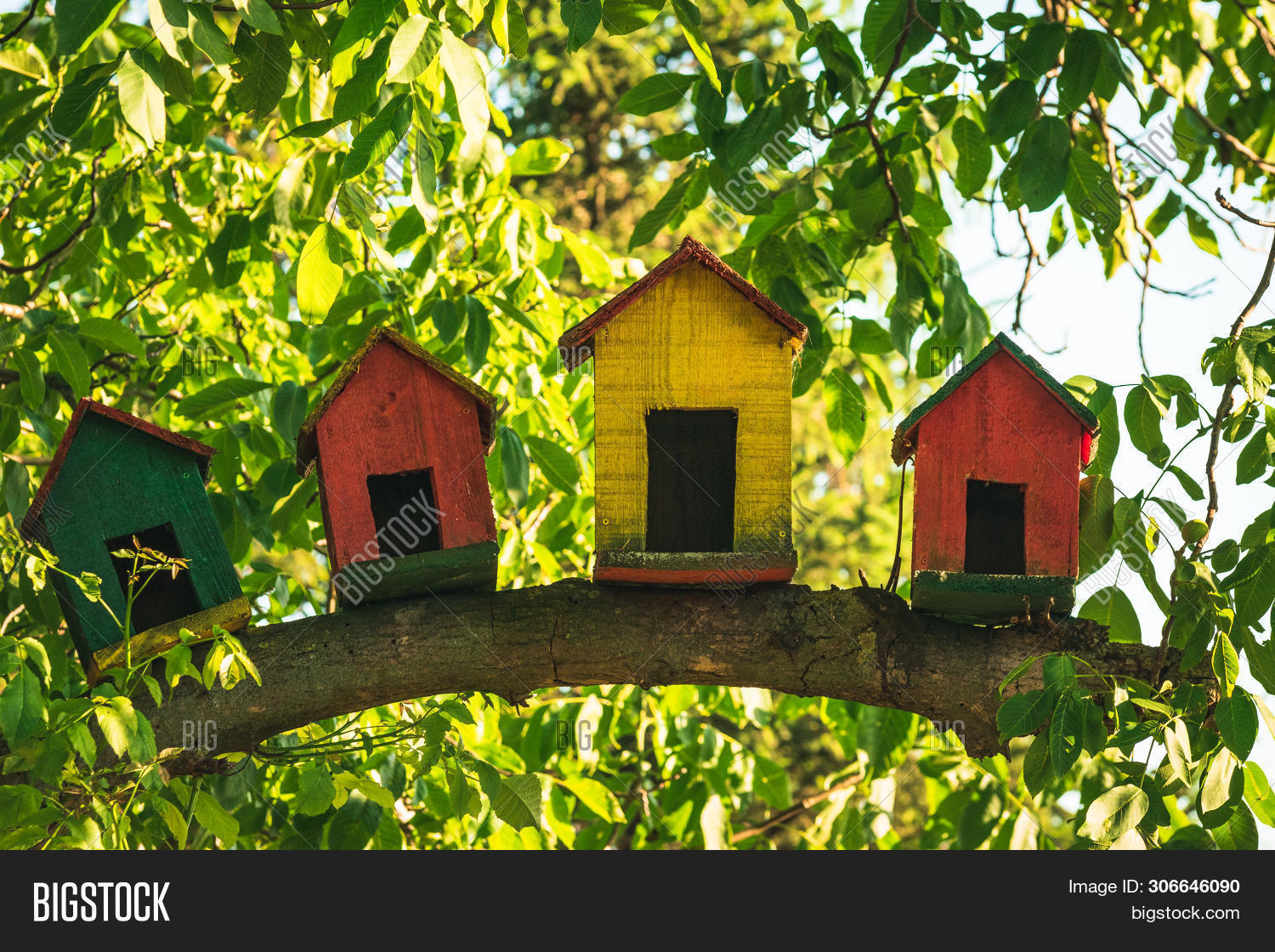 Close Bird House Image & Photo (Free Trial) | Bigstock