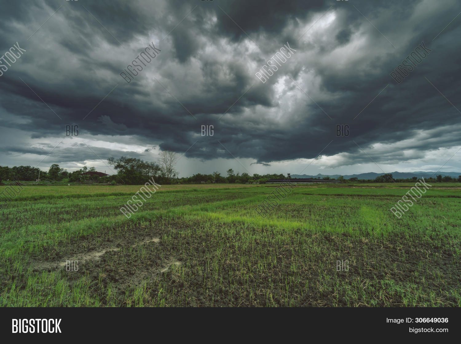 Field Agriculture Rain Image & Photo (Free Trial) | Bigstock