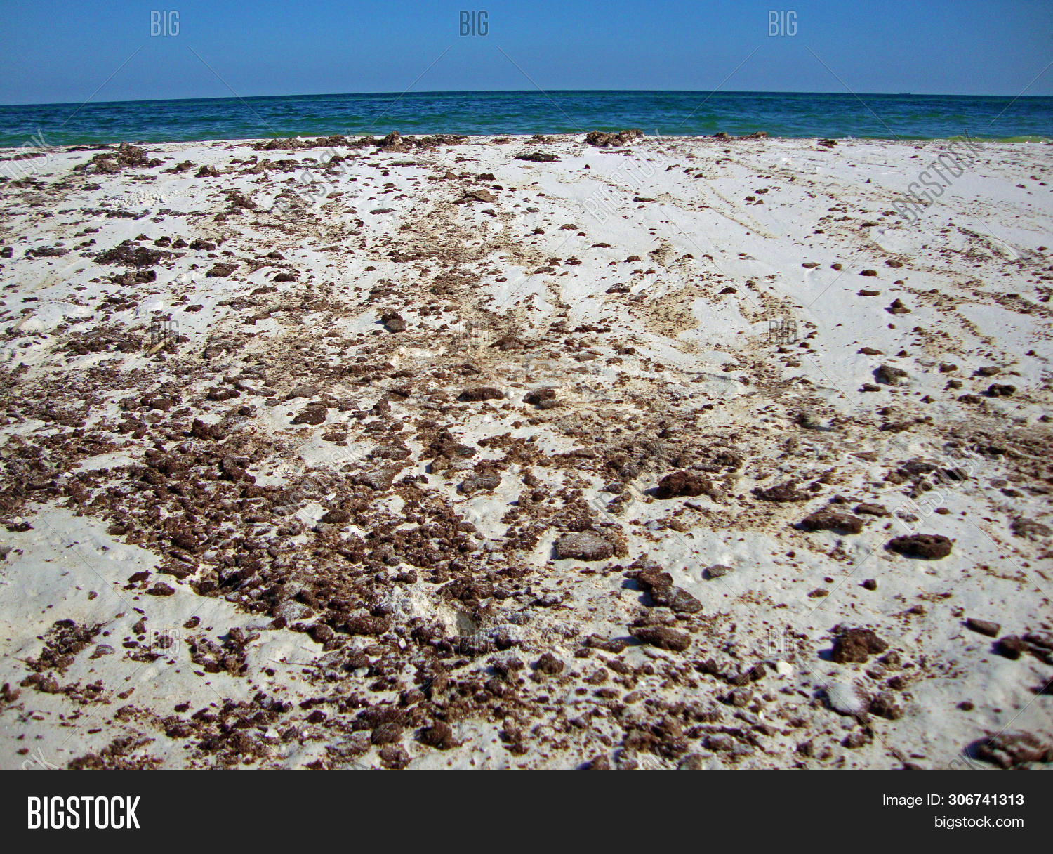 Oil Spill On Florida Image & Photo (Free Trial) | Bigstock