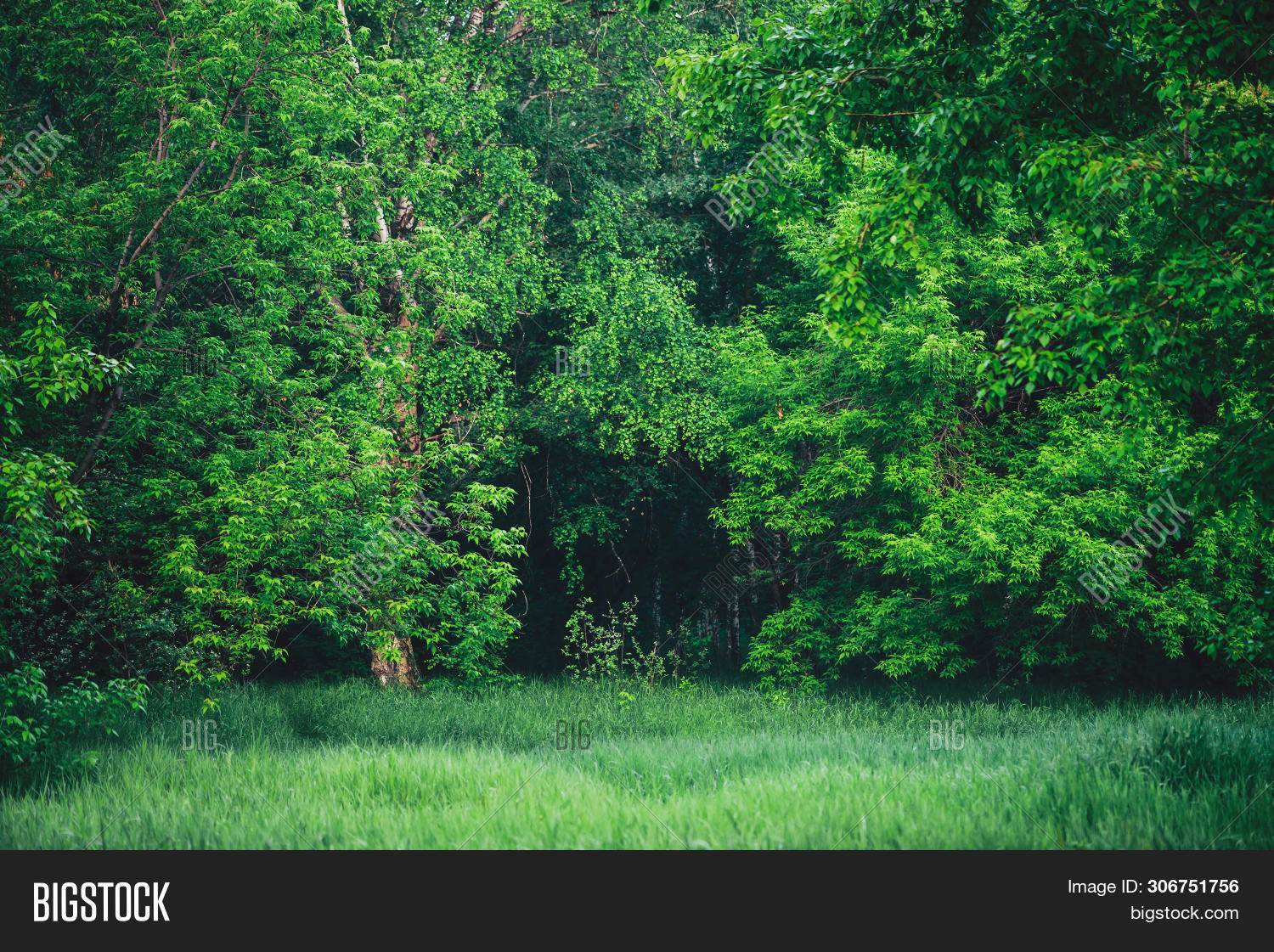 Scenic Vivid Green Image & Photo (Free Trial) | Bigstock