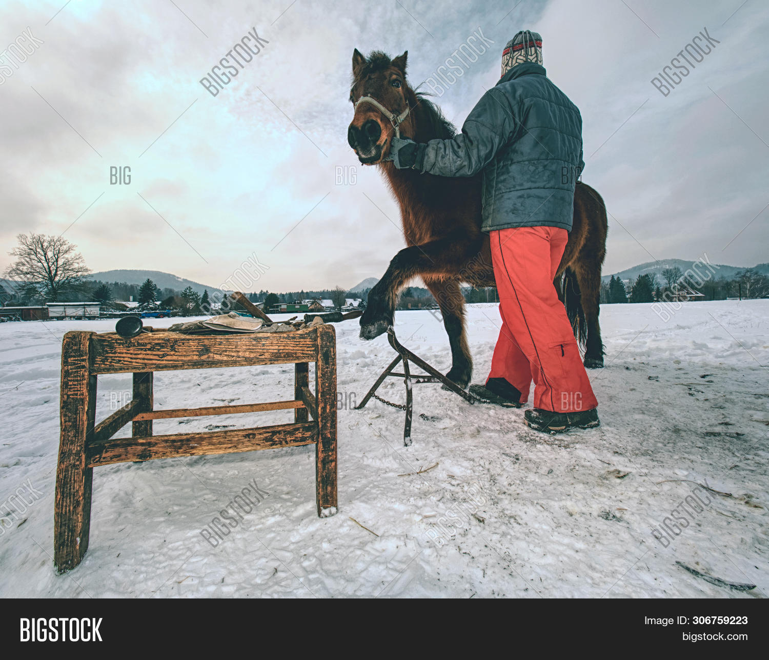 Farrier Assistant Keep Image & Photo (Free Trial) | Bigstock
