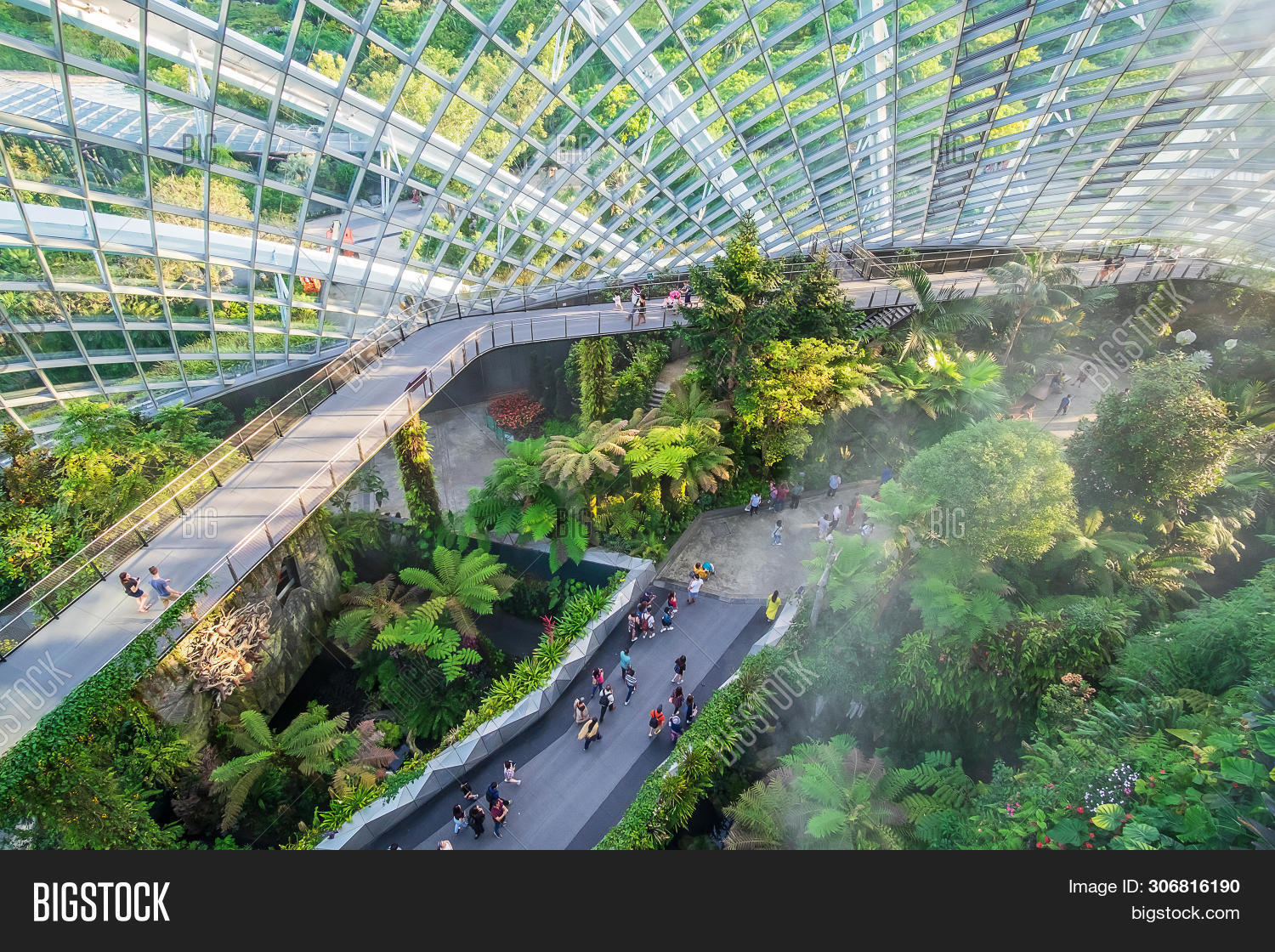 Cloud Forest Dome Image & Photo (Free Trial) | Bigstock