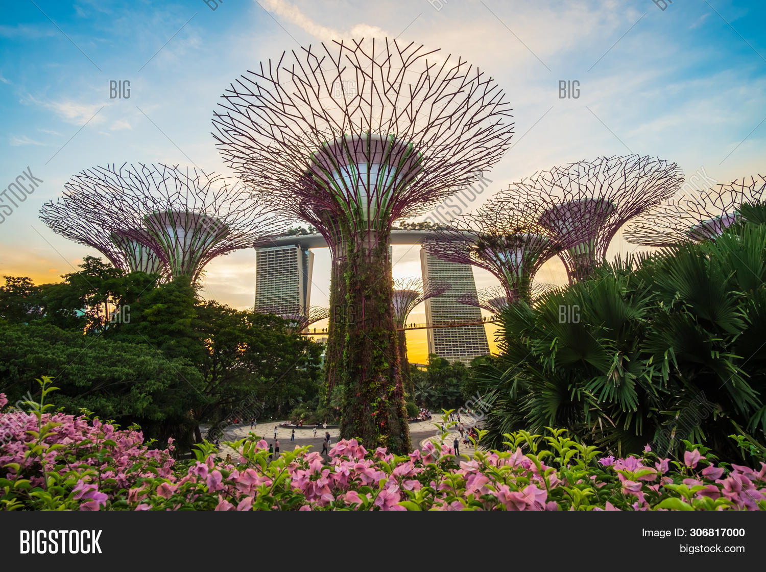 Beautiful Sunset Image & Photo (Free Trial) | Bigstock