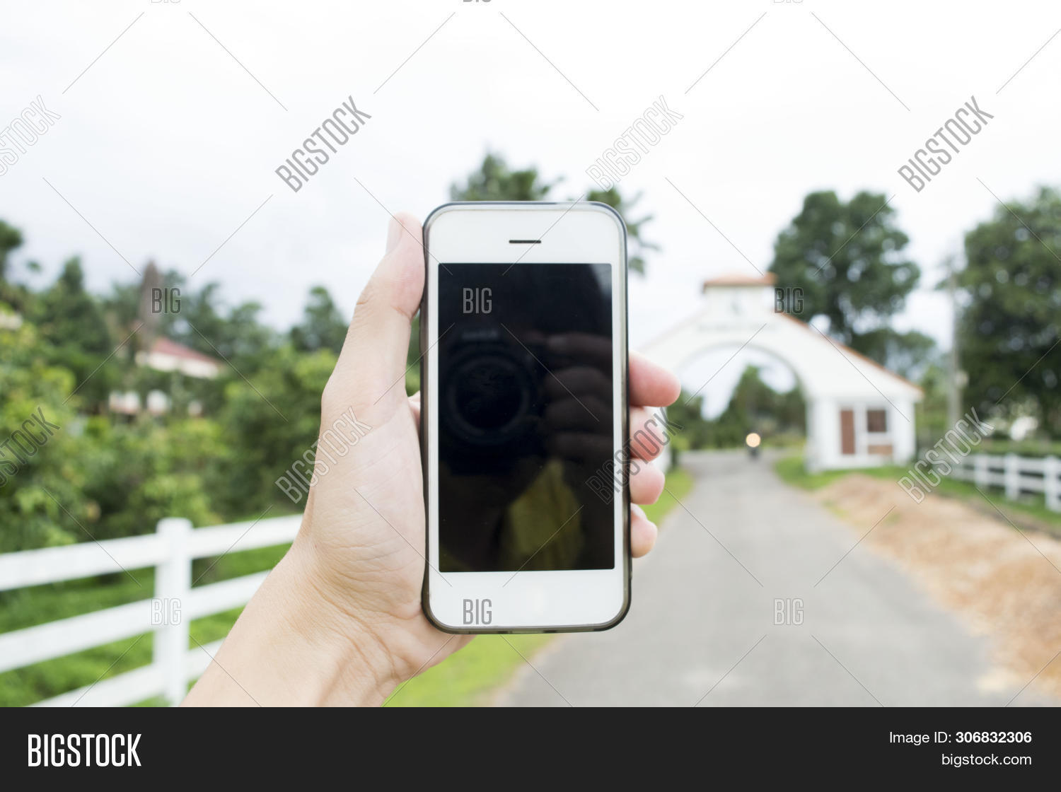 Young Women Use Mobile Image & Photo (Free Trial) | Bigstock