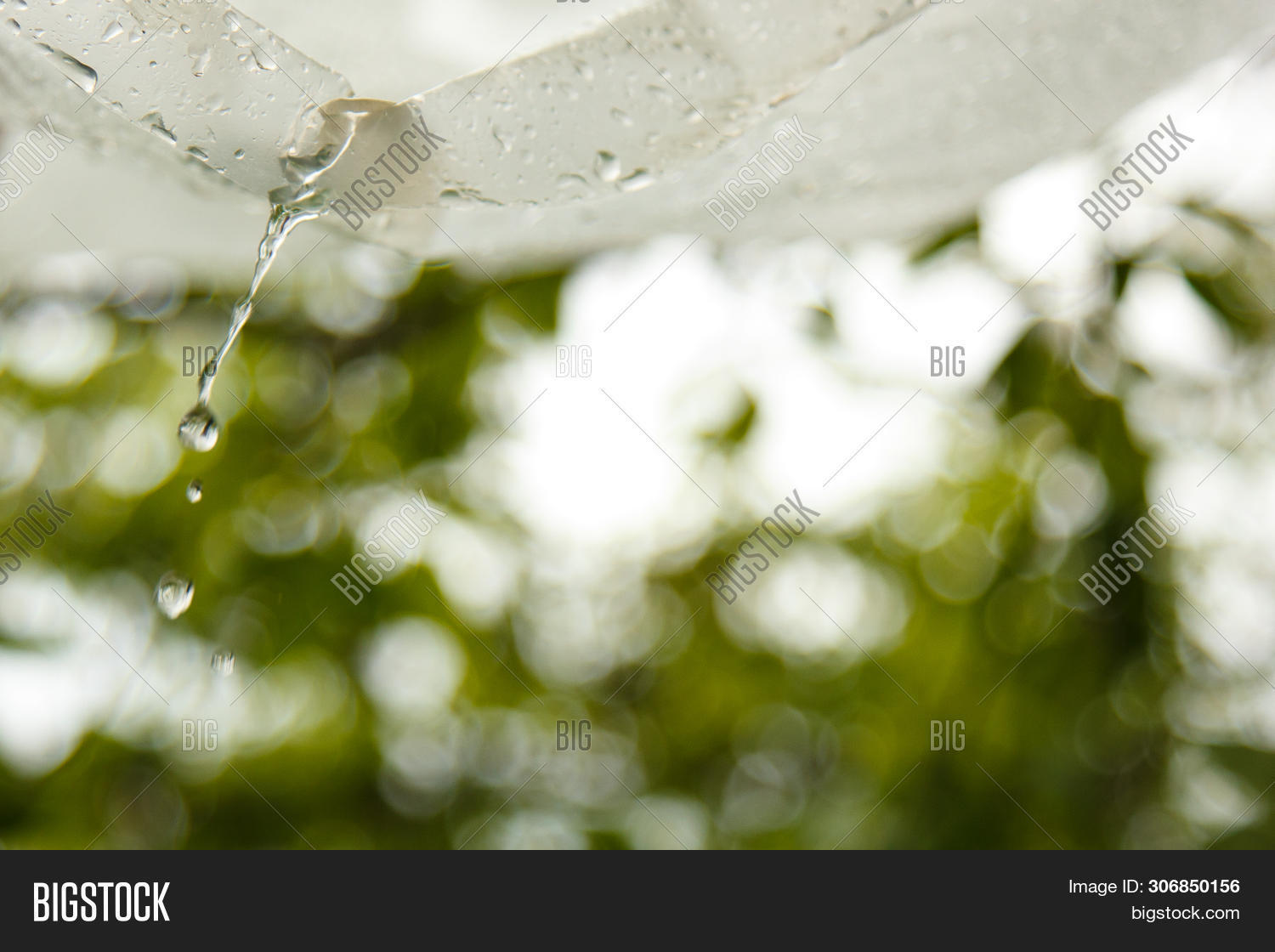Drops Water After Rain Image & Photo (Free Trial) | Bigstock