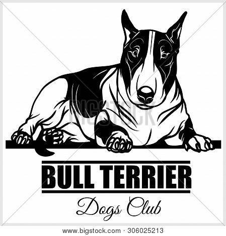 Bull Terrier - Vector Vector & Photo (Free Trial) | Bigstock