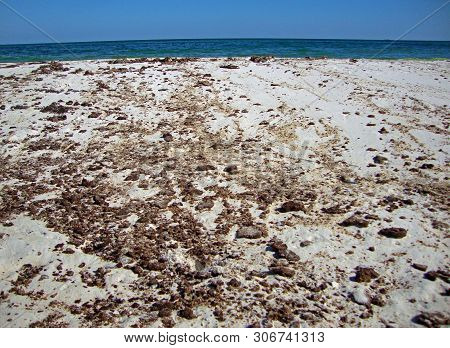 Oil Spill On Florida Image & Photo (Free Trial) | Bigstock