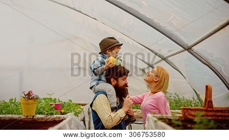 Eco Life. Eco Life Image & Photo (Free Trial) | Bigstock