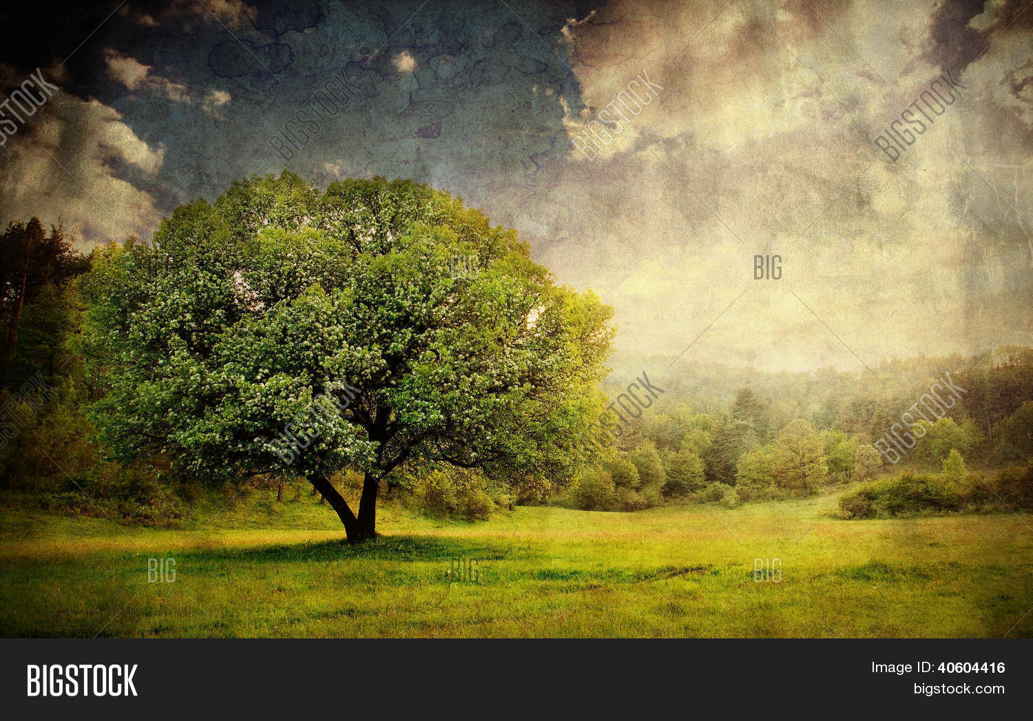 Vintage Landscape Image & Photo (Free Trial) | Bigstock