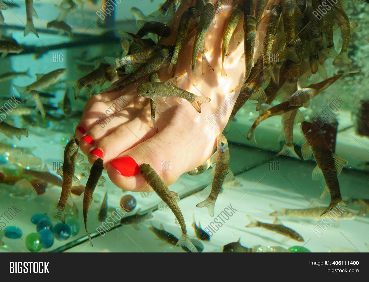 Peeling Fish. Girl Image & Photo (Free Trial) | Bigstock
