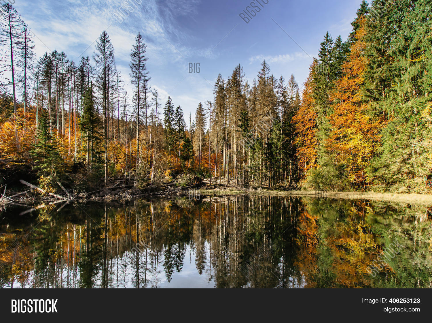 Boubin Lake.reflection Image & Photo (Free Trial) | Bigstock