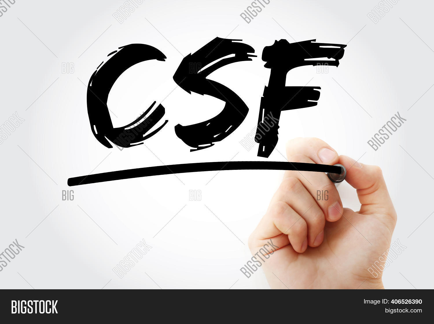Csf - Cerebrospinal Image & Photo (Free Trial) | Bigstock