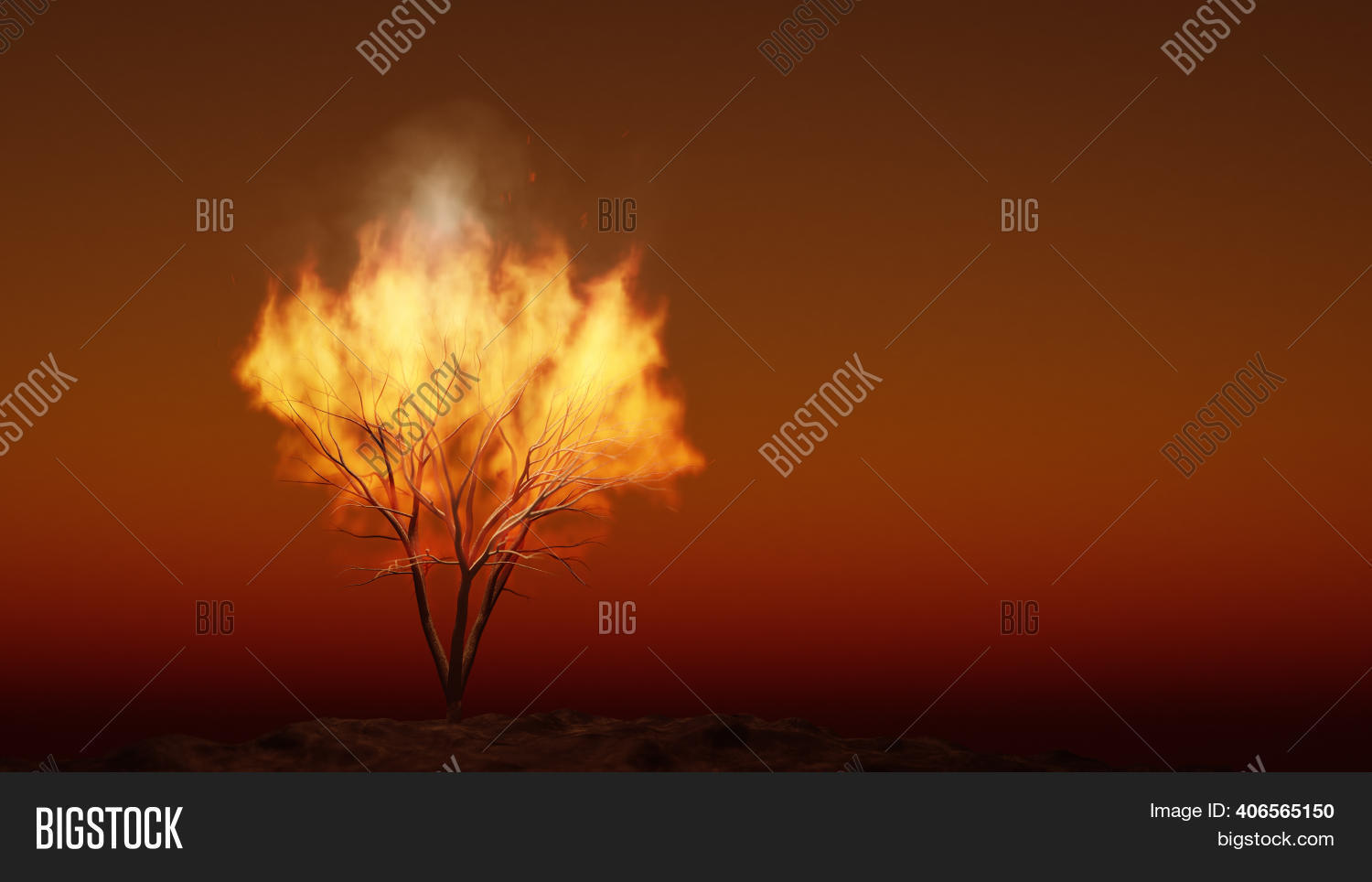 Burning Bush Religious Image & Photo (Free Trial) | Bigstock