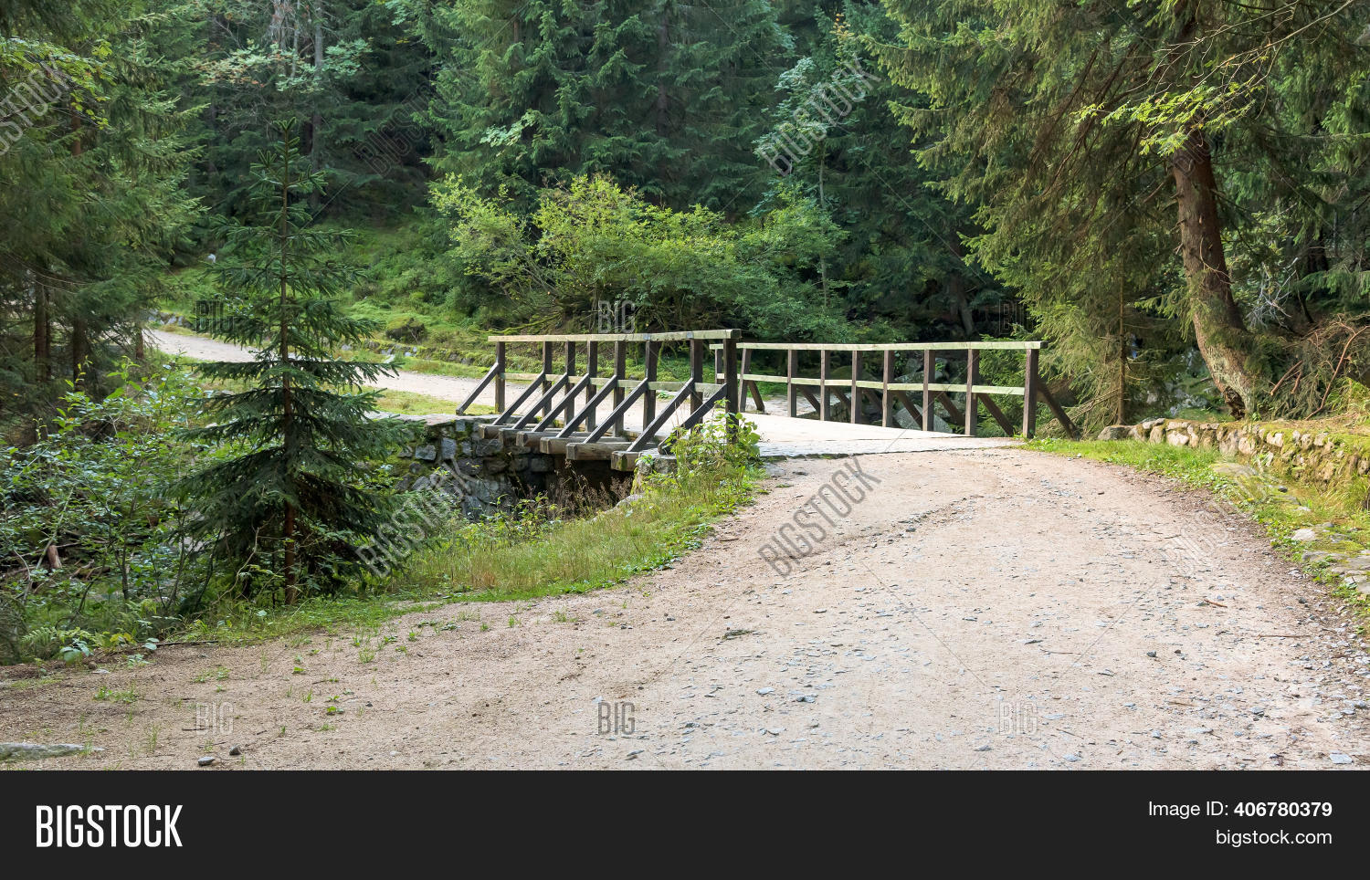 Bridge On Trail Image & Photo (Free Trial) | Bigstock