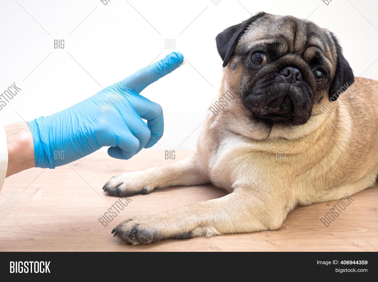 Scared Doctors. Cute Image & Photo (Free Trial) | Bigstock